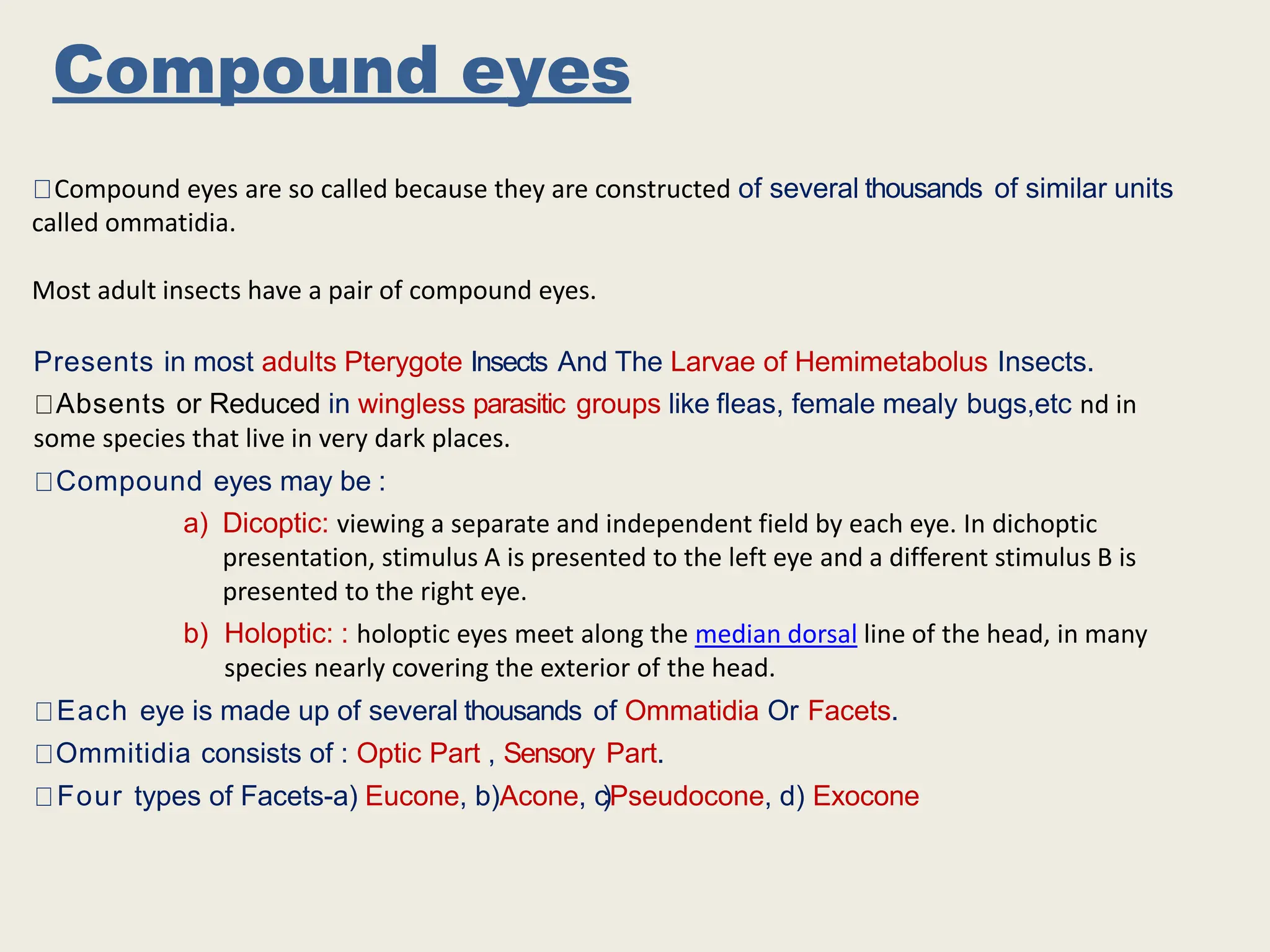 insect vision, entomology, insect eye facet | PPTX