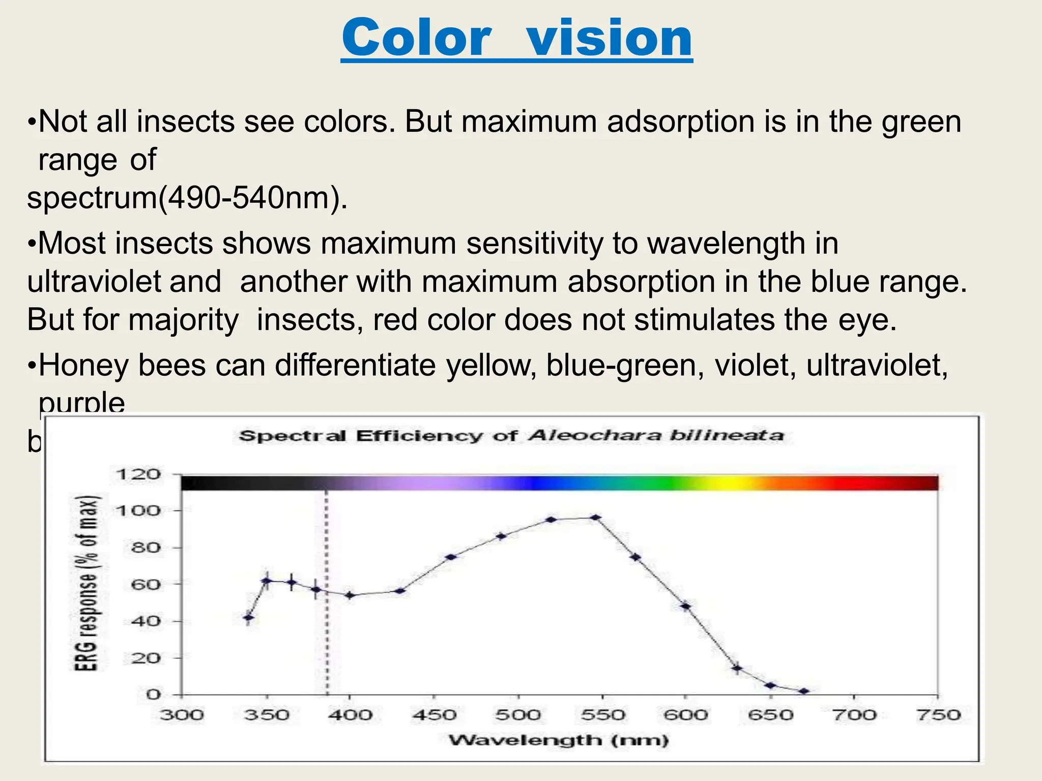 insect vision, entomology, insect eye facet | PPTX | Eye and Vision ...