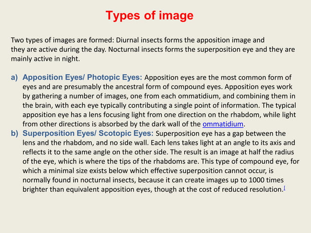 insect vision, entomology, insect eye facet | PPTX | Eye and Vision ...