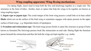Modification of arthropoda (Insect) wing.pdf