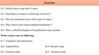 Modification of arthropoda (Insect) wing.pdf