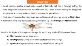 Modification of arthropoda (Insect) wing.pdf