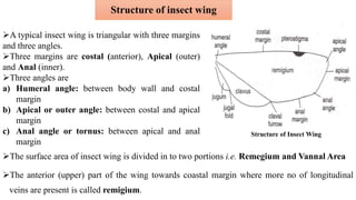 Modification of arthropoda (Insect) wing.pdf