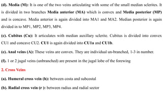 Modification of arthropoda (Insect) wing.pdf
