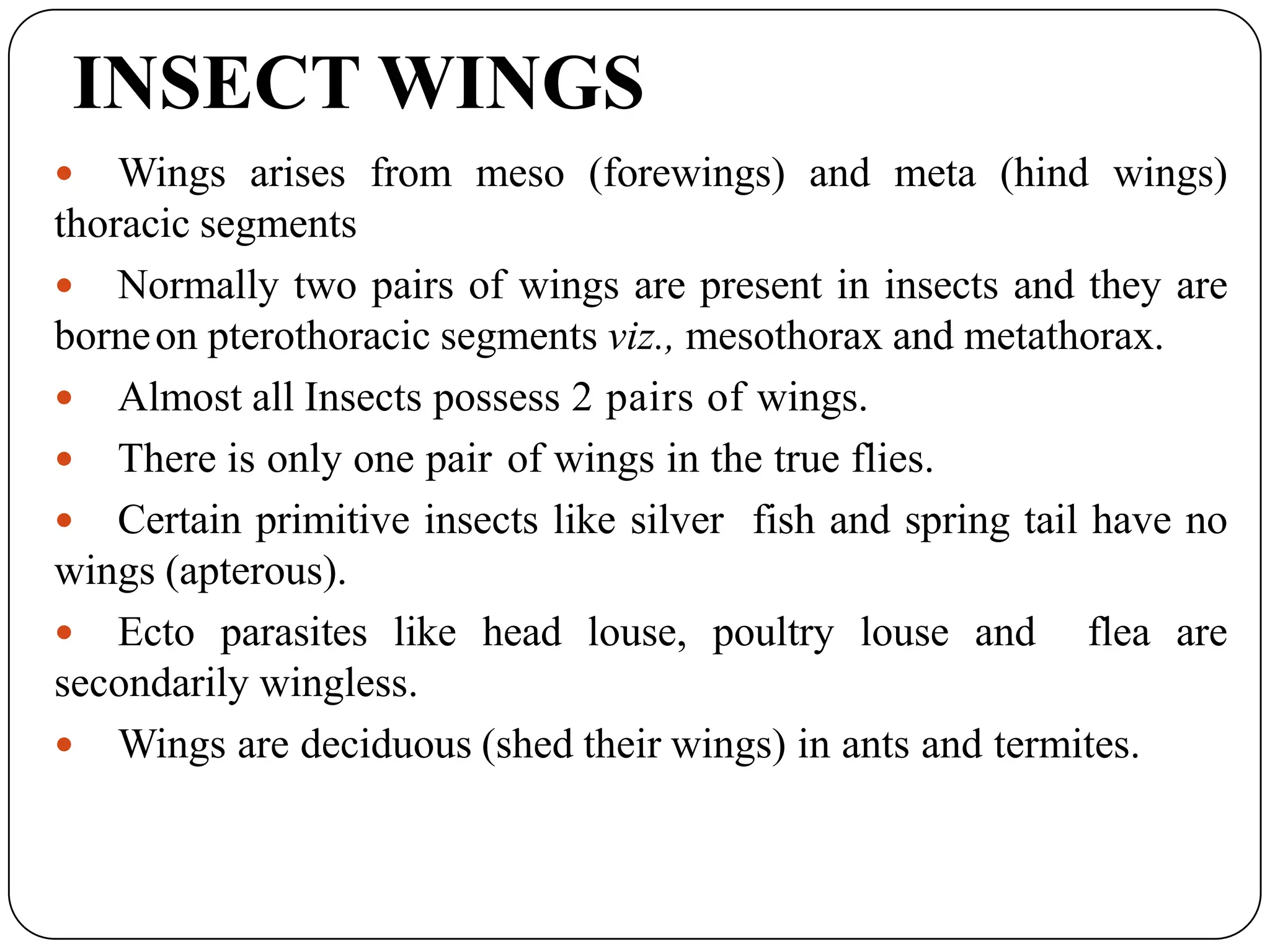 INSECT WING AND ITS MODIFICATION by Dr chetna Khandakar Sgcars JDB | PDF