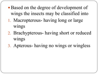 INSECT WING AND ITS MODIFICATION by Dr chetna Khandakar Sgcars JDB | PDF