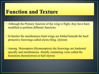 Insect wings | PPTX