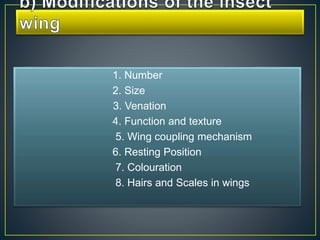 Insect wings | PPT
