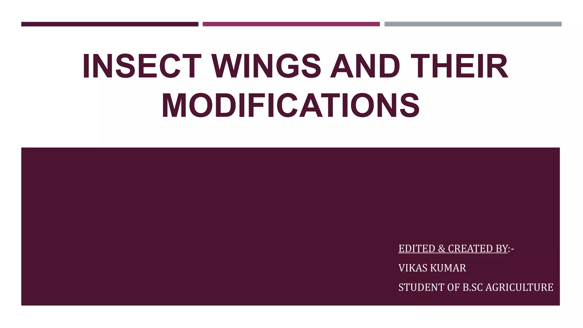 Insect Wings, Structure and their Modifications | PPTX | Birdwatching ...