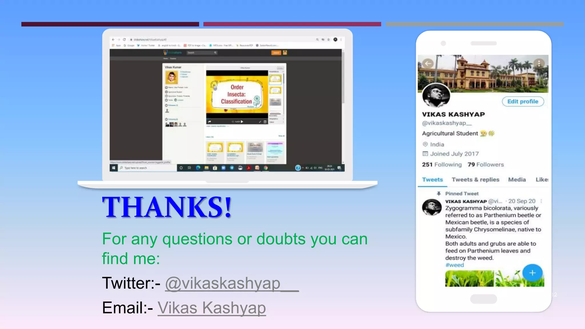 Insect Wings, Structure and their Modifications | PPTX