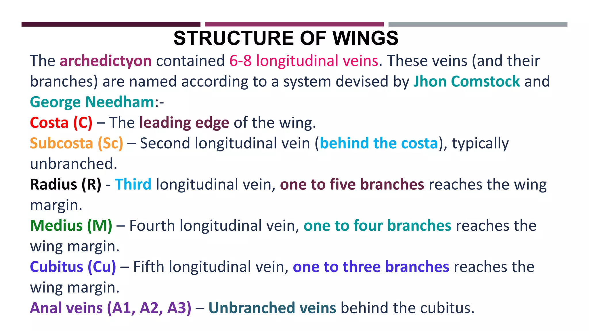 Insect Wings, Structure and their Modifications | PPTX