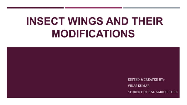 Insect Wings, Structure and their Modifications | PPTX | Birdwatching ...