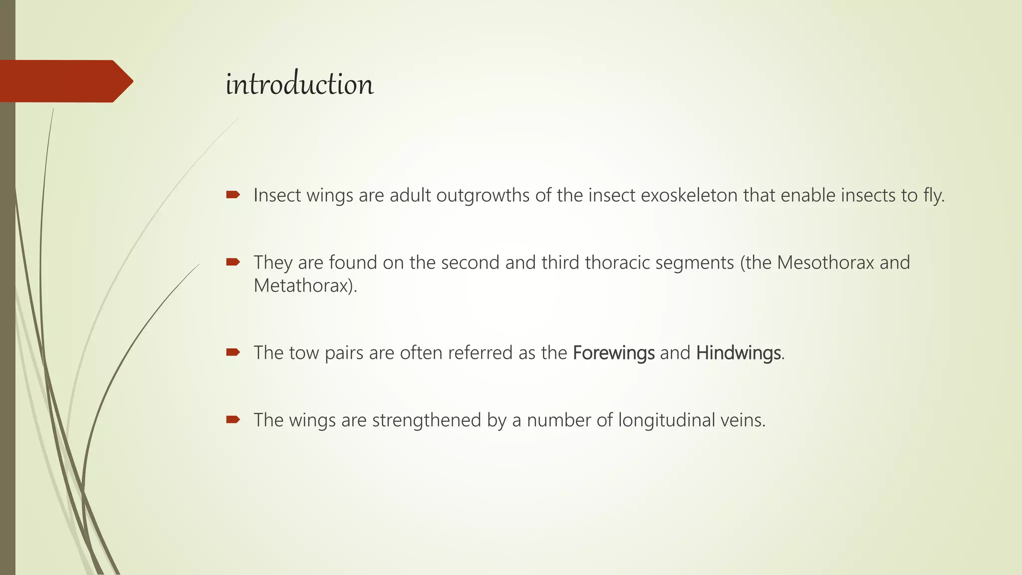 Insect wings & their modifications | PPTX