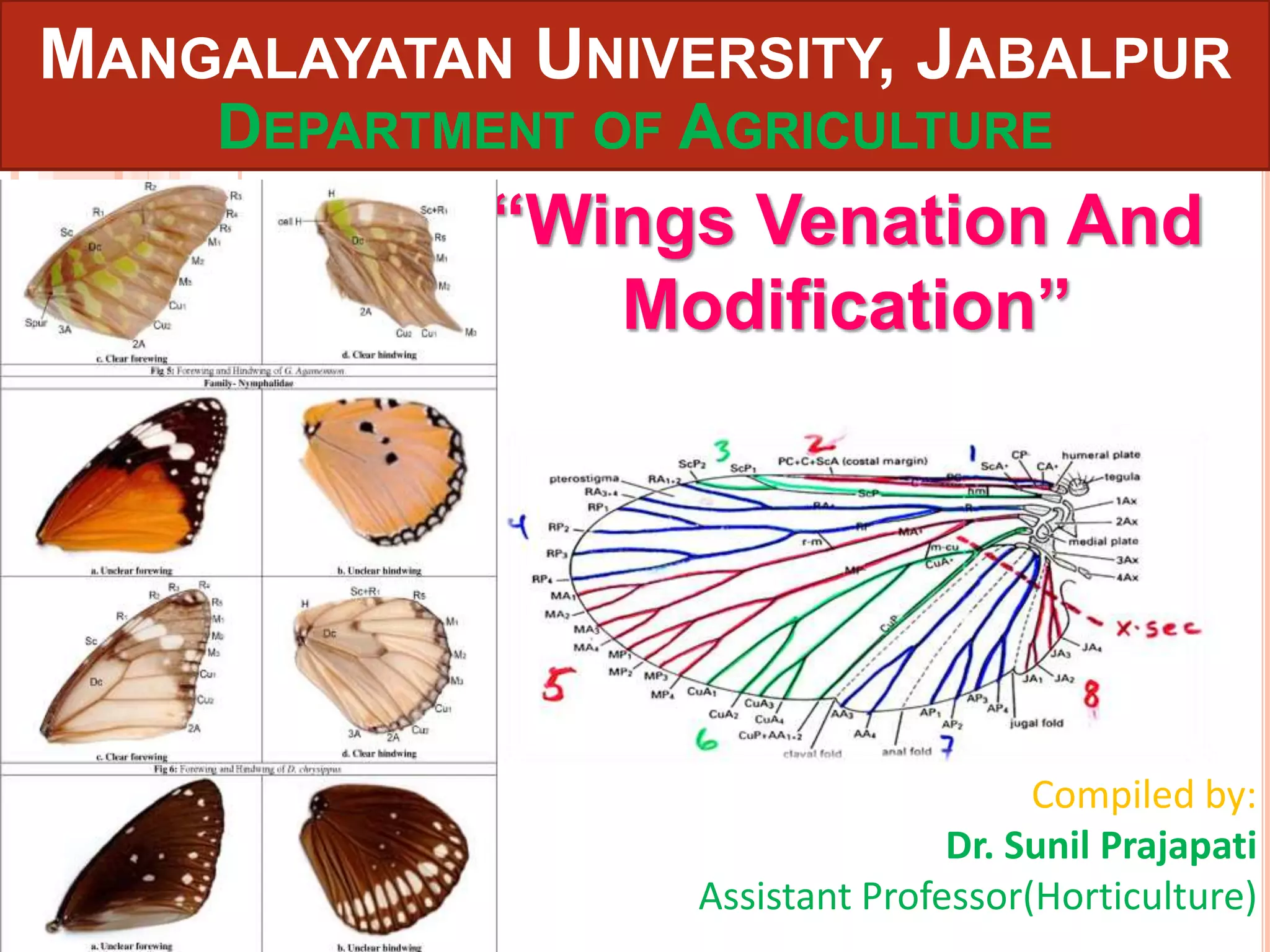 Insect wing venation and Its modification Dr.Sunil Prajapati | PPTX