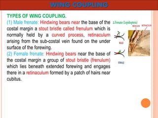 Insect wing venation and Its modification Dr.Sunil Prajapati | PPTX