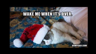 Insecure file upload vulnerability | PPT