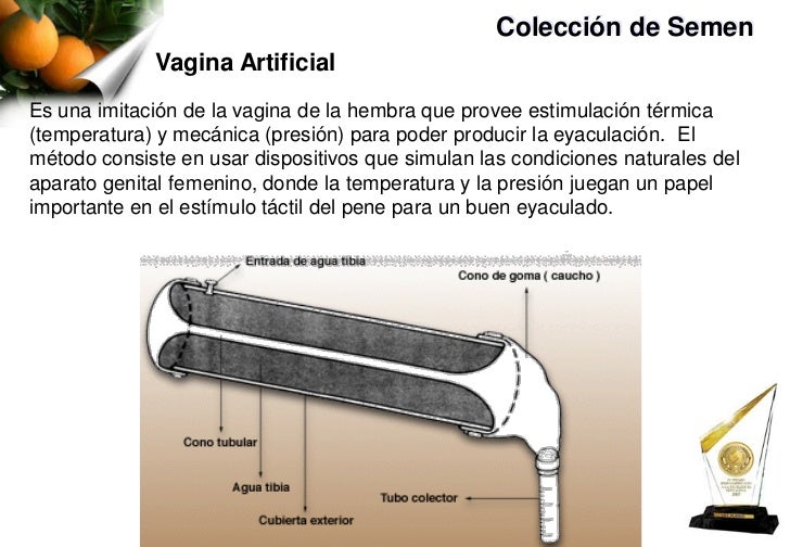 Inseminación artificial II