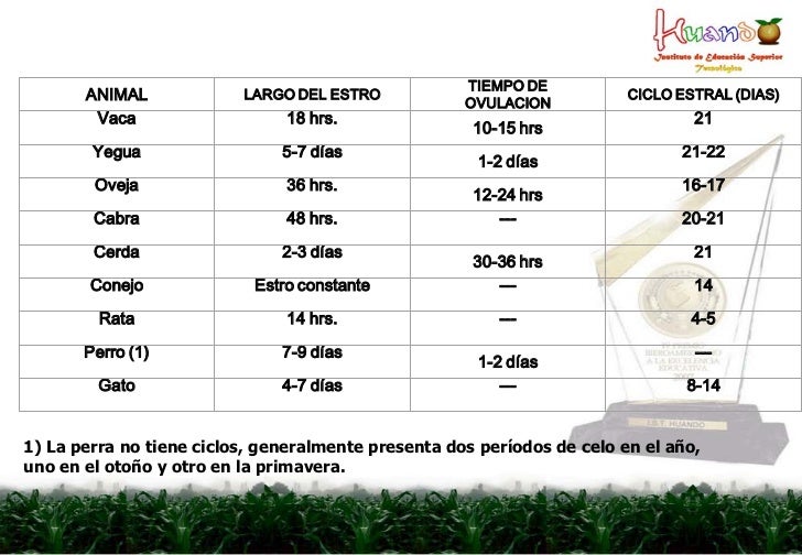 Inseminación artificial II