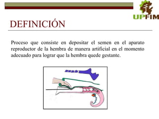 Inseminación Artificial de ganado lechero | PPT