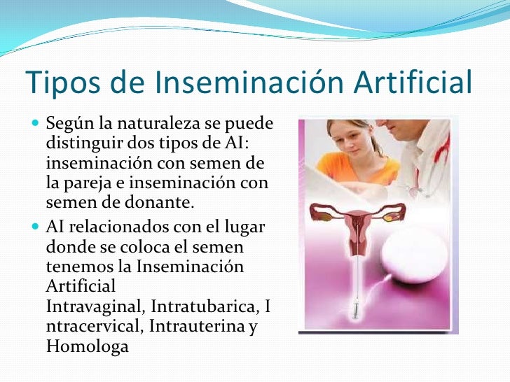 Inseminacion artificial