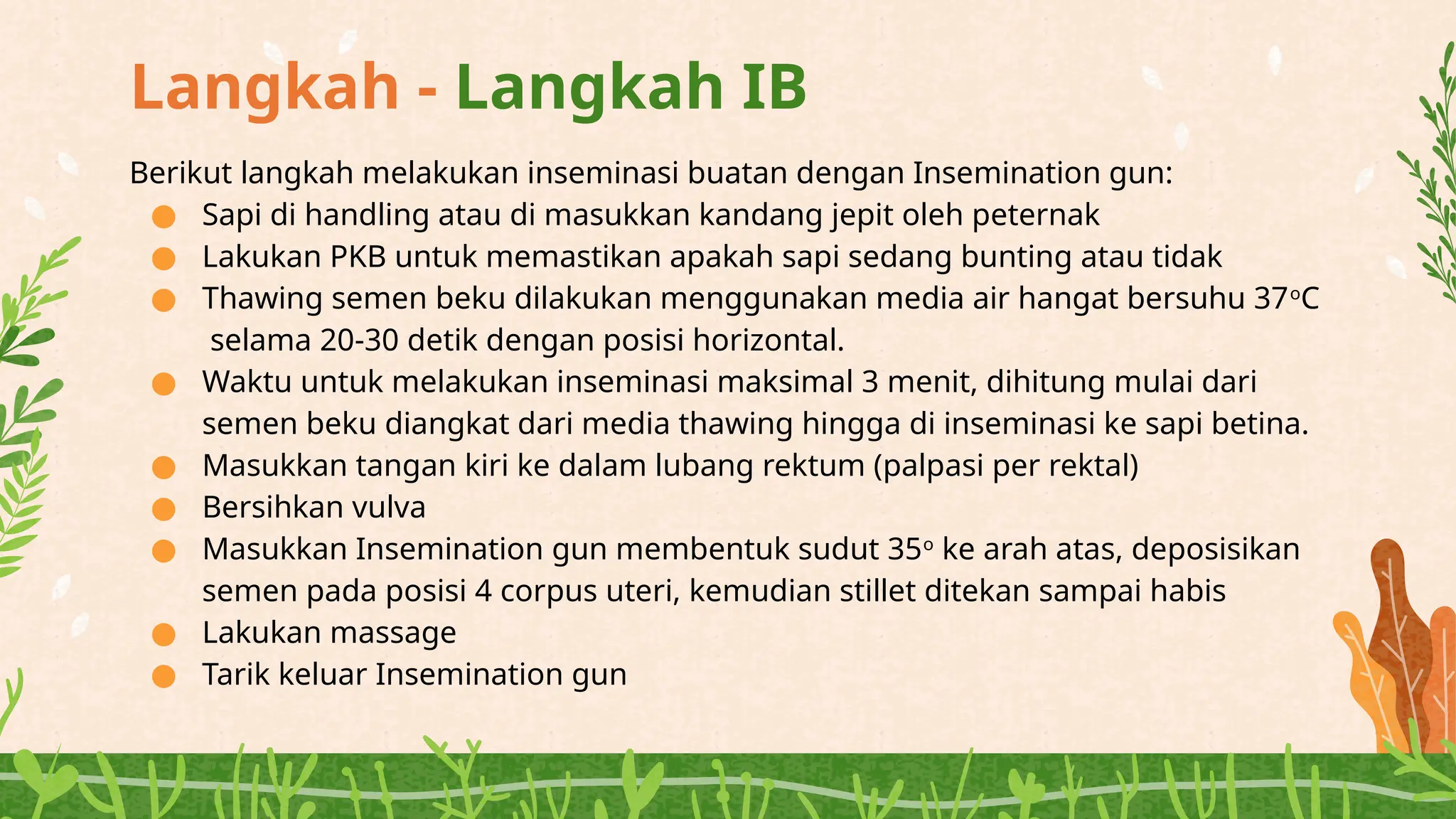 Inseminasi Buatan pada hewan sapi betina.pptx