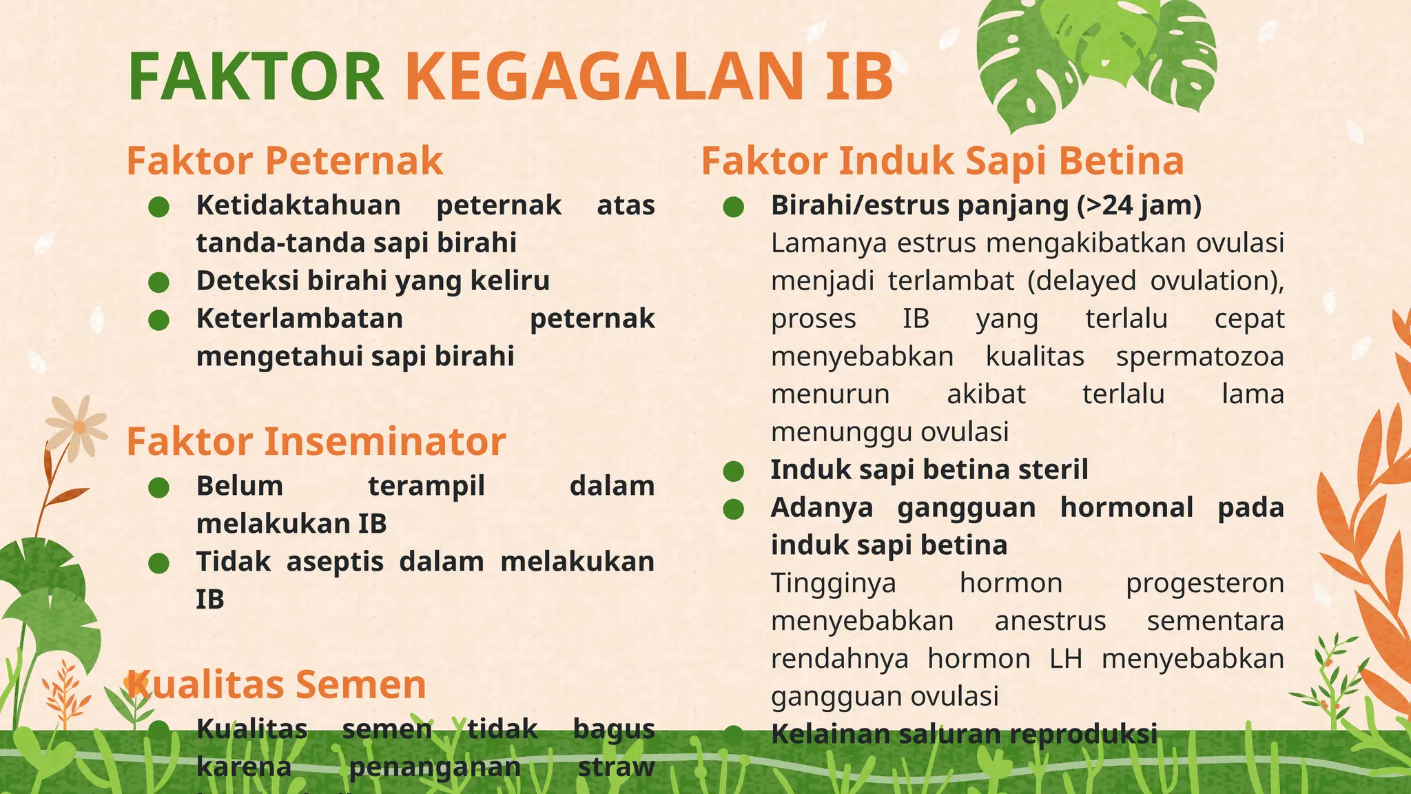 Inseminasi Buatan pada hewan sapi betina.pptx