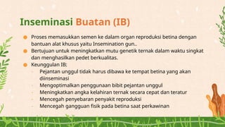 Inseminasi Buatan pada hewan sapi betina.pptx