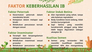 Inseminasi Buatan pada hewan sapi betina.pptx