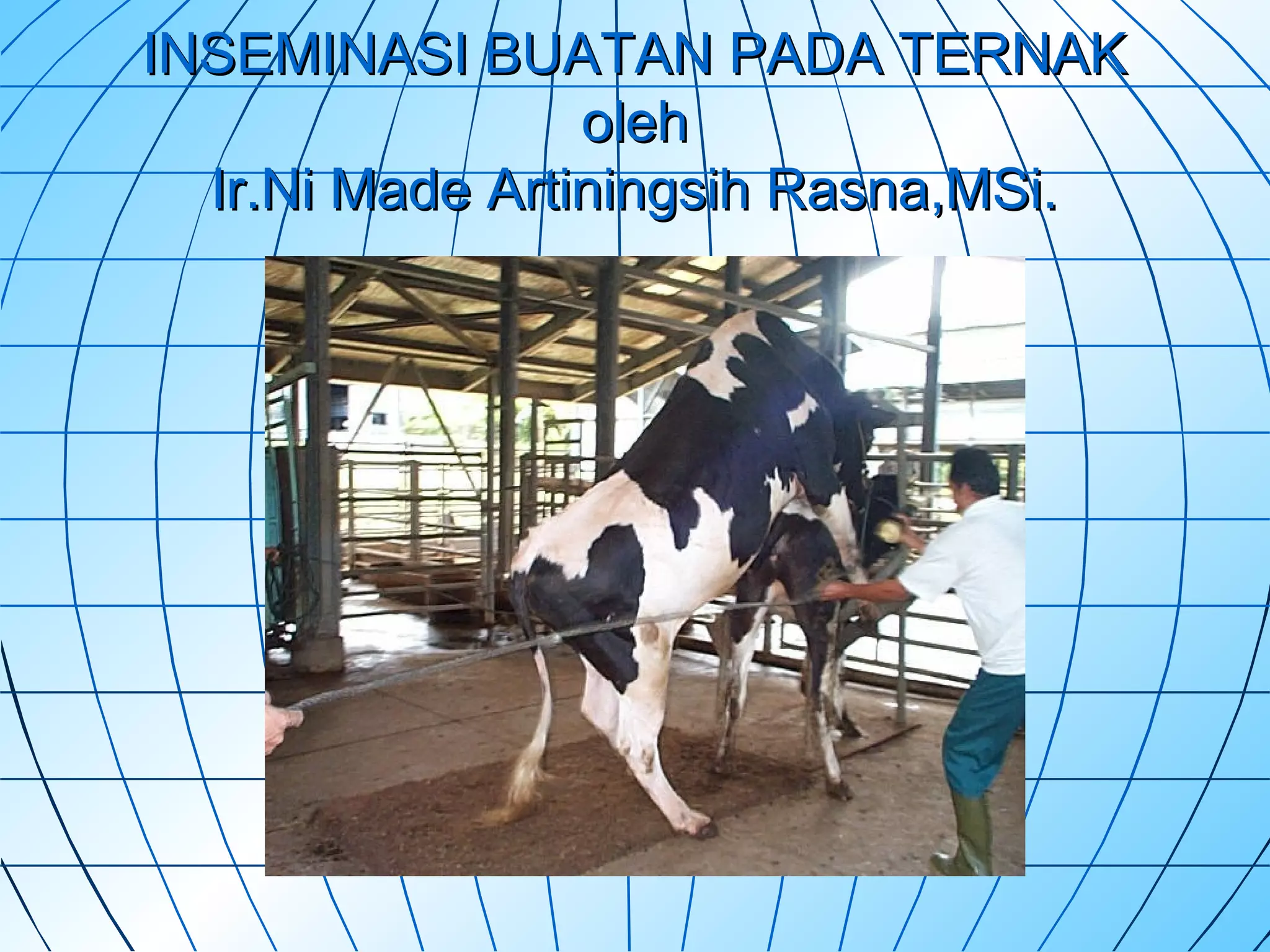 Inseminasi buatan pada sapi | PPT
