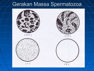 Inseminasi buatan pada sapi | PPT