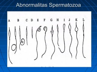 Inseminasi buatan pada sapi | PPT