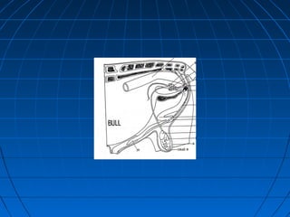 Inseminasi buatan pada sapi | PPT