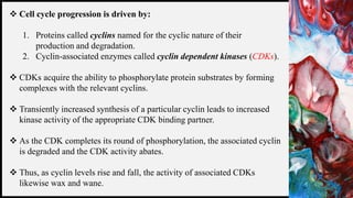 Cell cycle regulators | PPTX