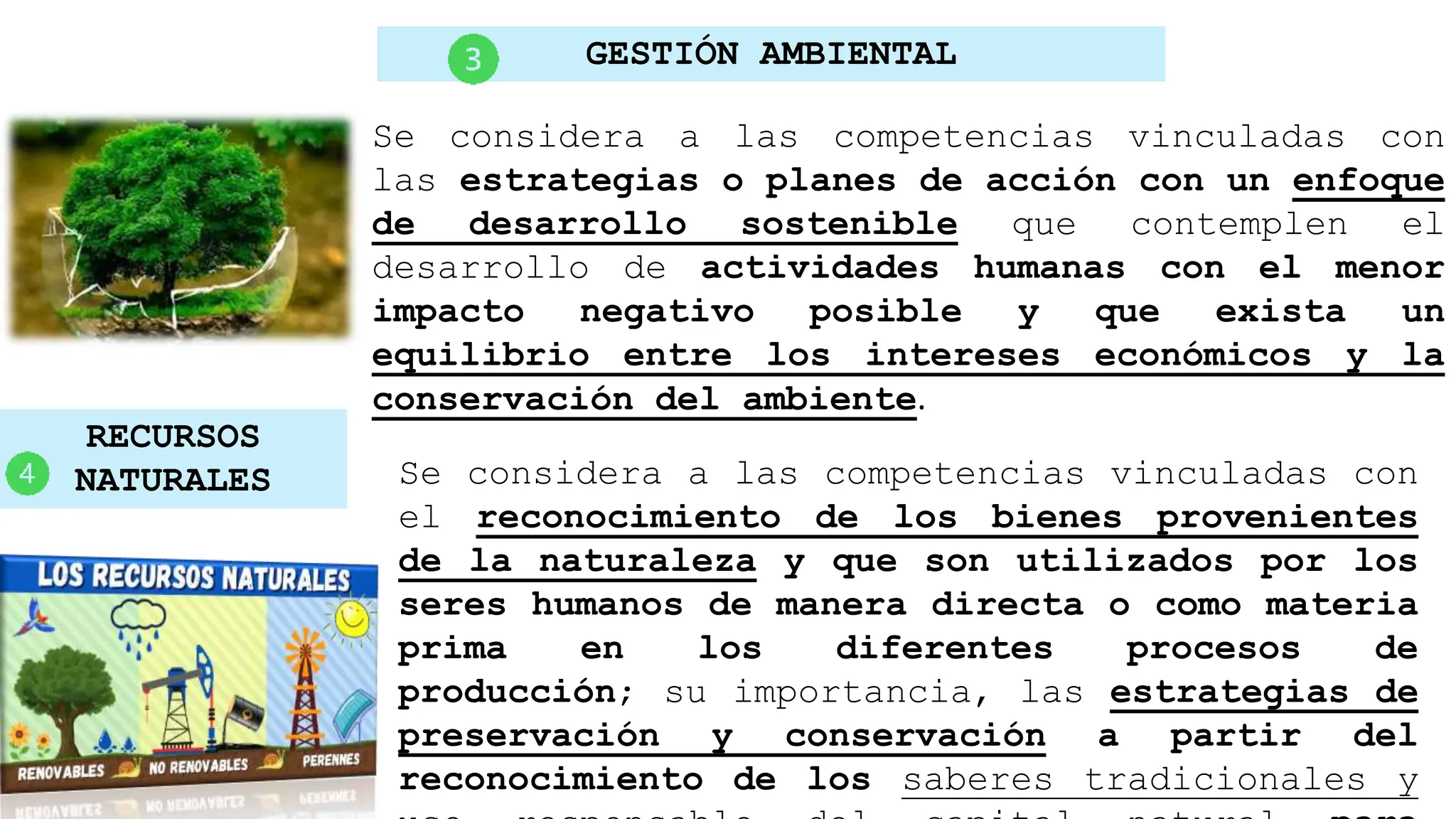 INSERCION CURRICULAR MINISTERIO EDUCACION 2024.pptx INSERCION CURRICULAR MINISTERIO EDUCACION 2024.pptx