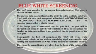 Insertional inactivation | PPTX