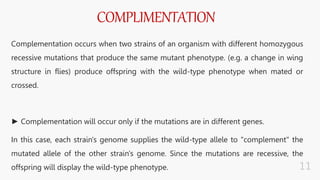 INSERTIONAL INACTIVATION AND COMPLEMENTATION OF DEFINED MUTATION (1).pptx