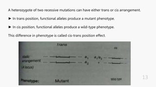 INSERTIONAL INACTIVATION AND COMPLEMENTATION OF DEFINED MUTATION (1).pptx