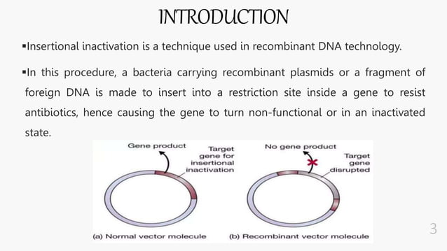 INSERTIONAL INACTIVATION AND COMPLEMENTATION OF DEFINED MUTATION (1).pptx