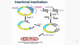 INSERTIONAL INACTIVATION AND COMPLEMENTATION OF DEFINED MUTATION (1).pptx