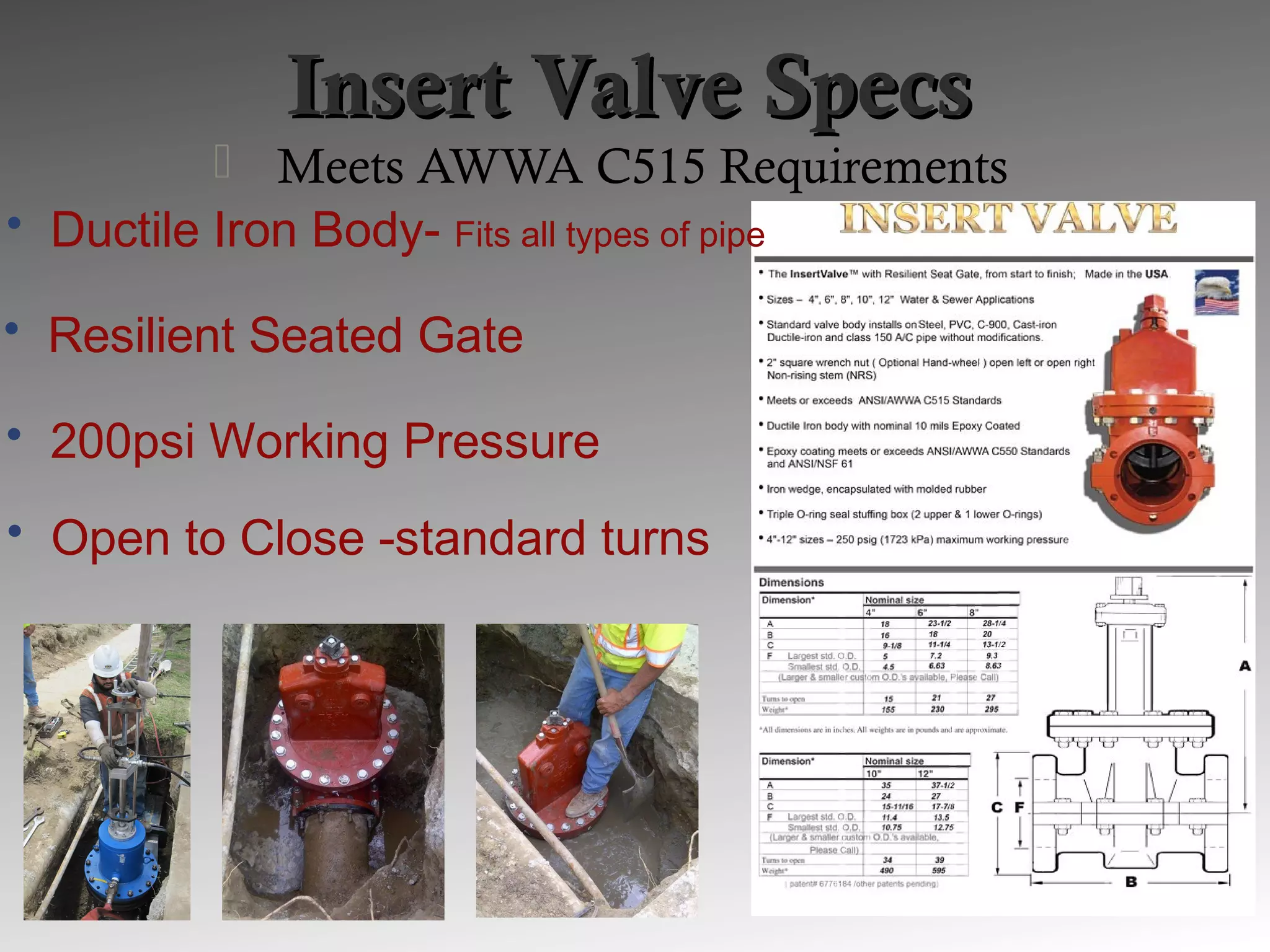 Insert Valve Installation Services | PPT
