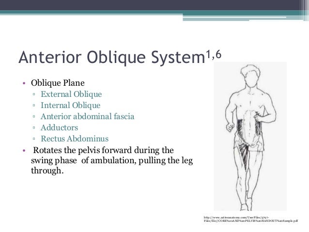Functional Training for LBP