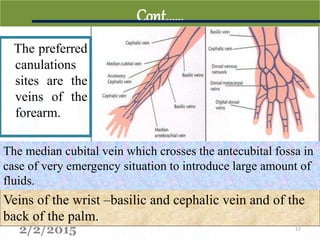 Antecubital Fossa Iv