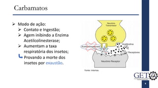 Inseticidas - Carbamatos e Piretróides | PPTX