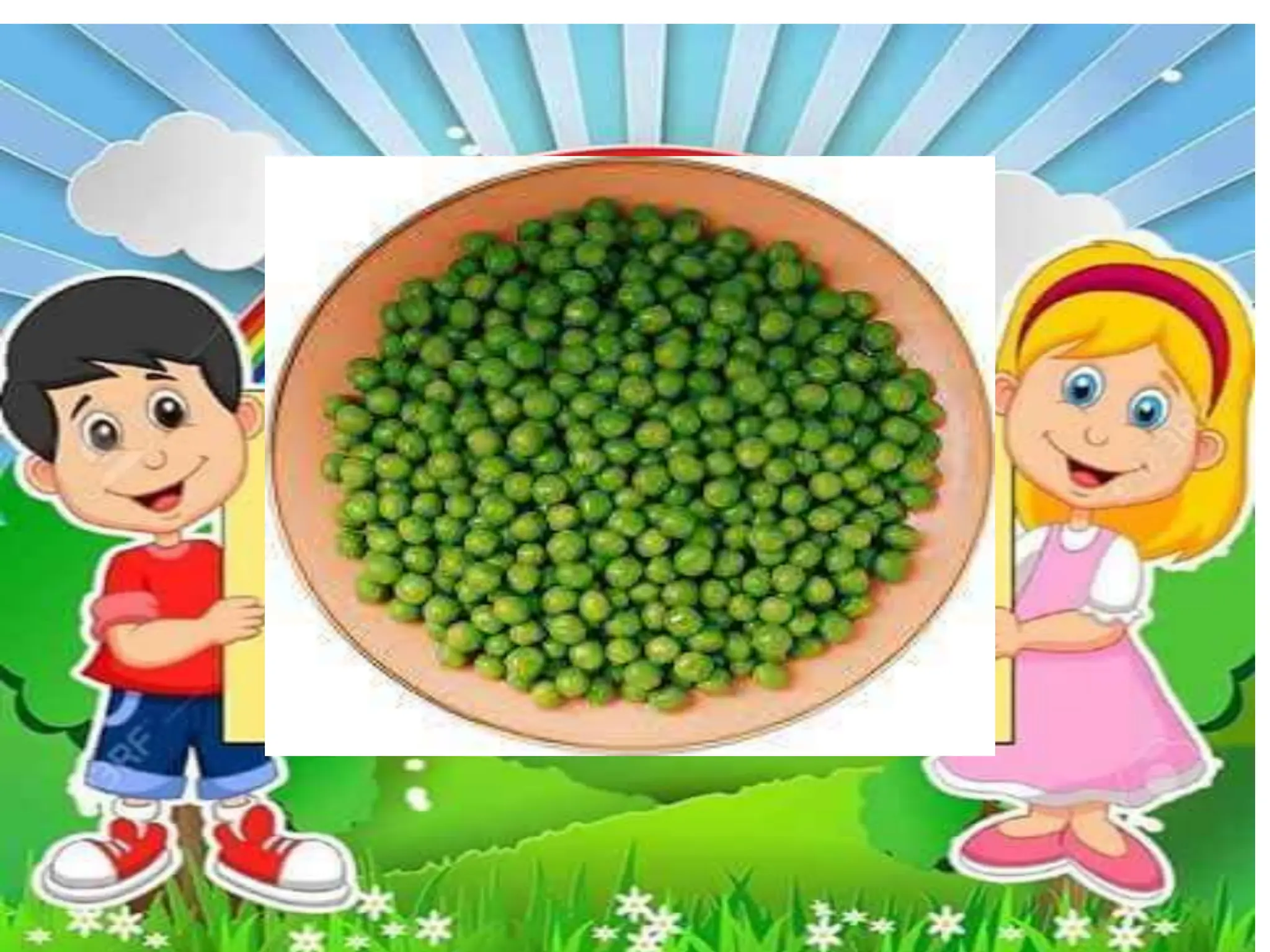 Identifying Count Nouns and Mass Nouns.pptx