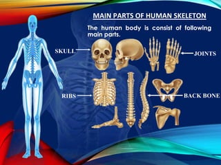 Inshall-presention.ppt | Bone and Joint Conditions | Diseases and ...