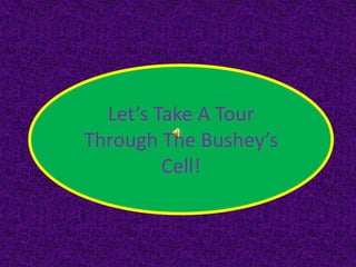 Inside The Bushey Cell | PPTX