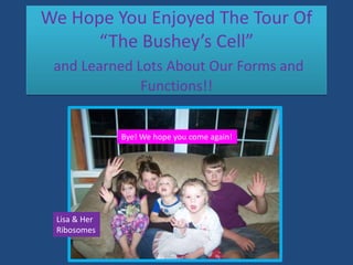 Inside The Bushey Cell | PPTX