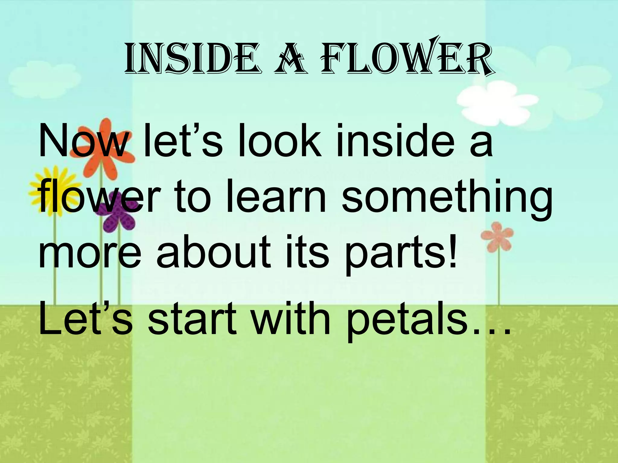 Inside a flower | PPTX