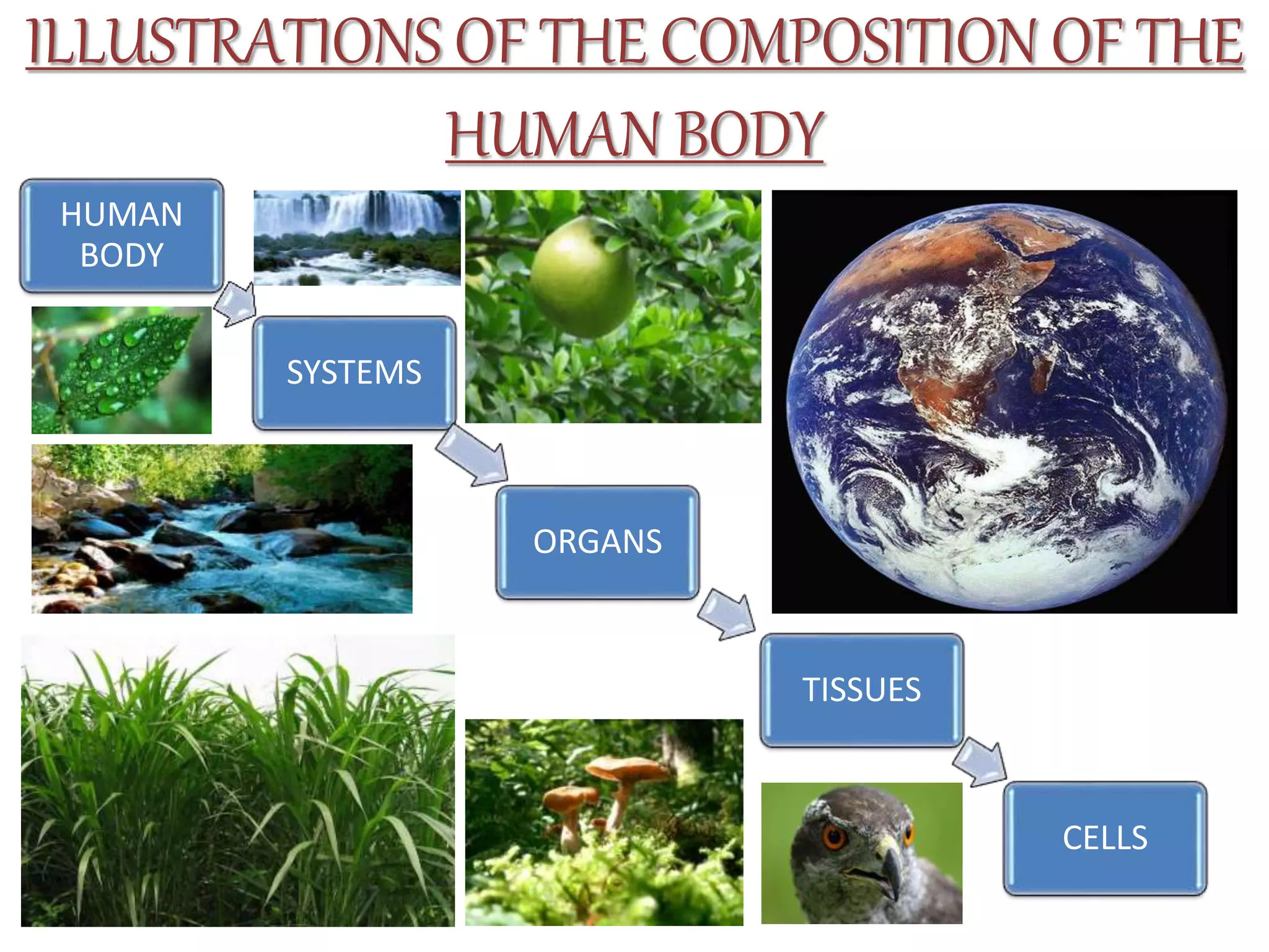 Inside An Atom | PPTX