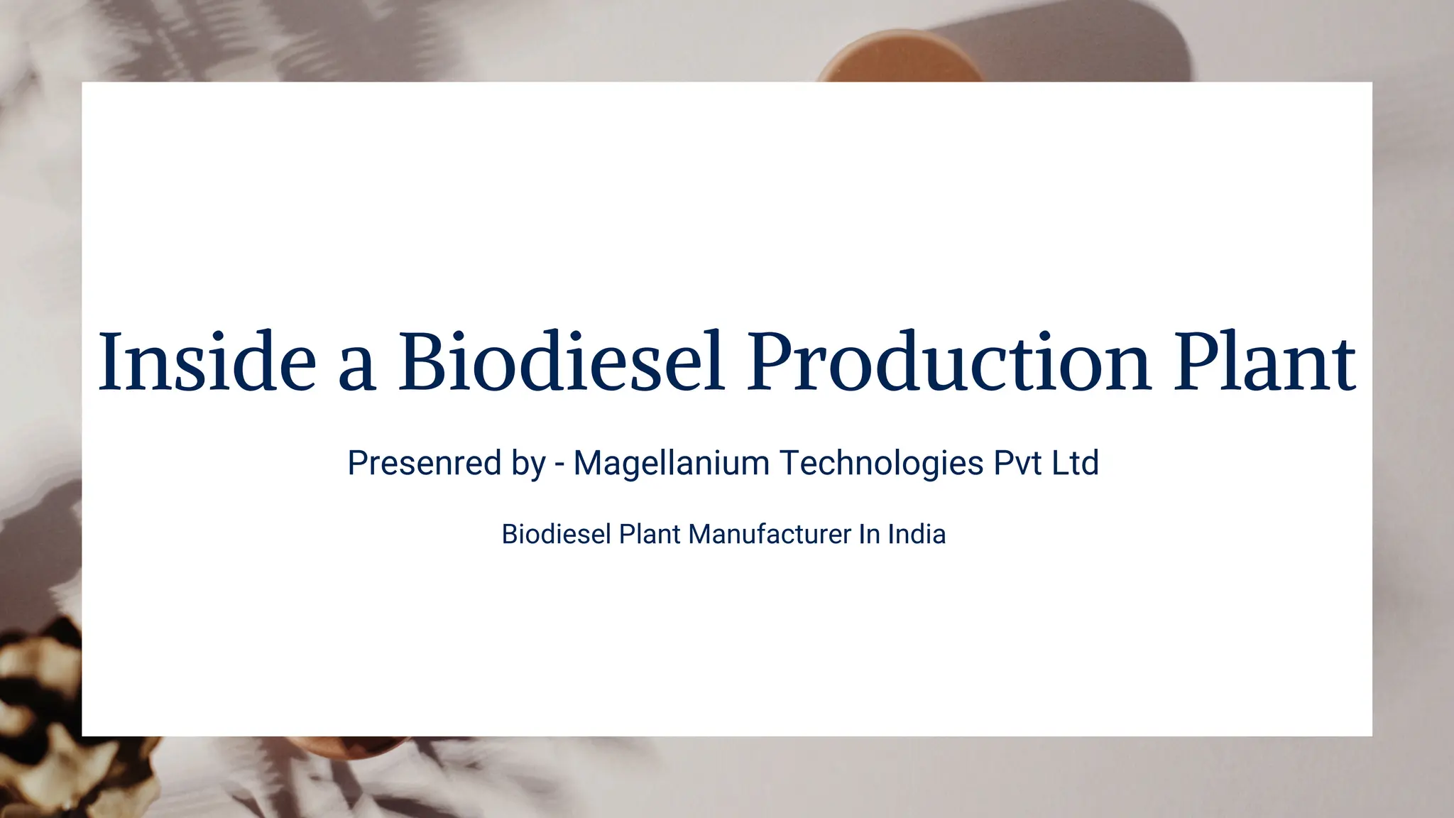 INSIDE BIODIESEL PRODUCTION PLANT. complete pdf | PDF